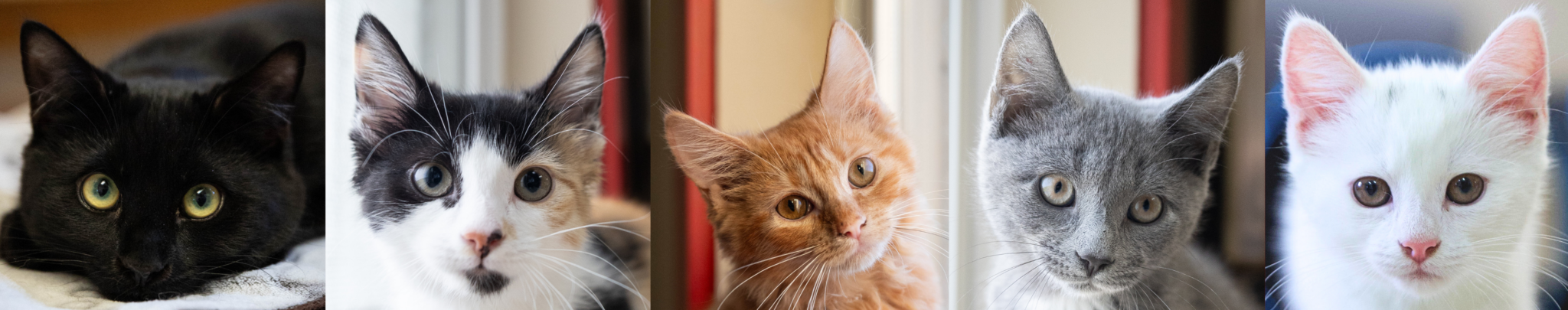 Fostering - Bide Awhile