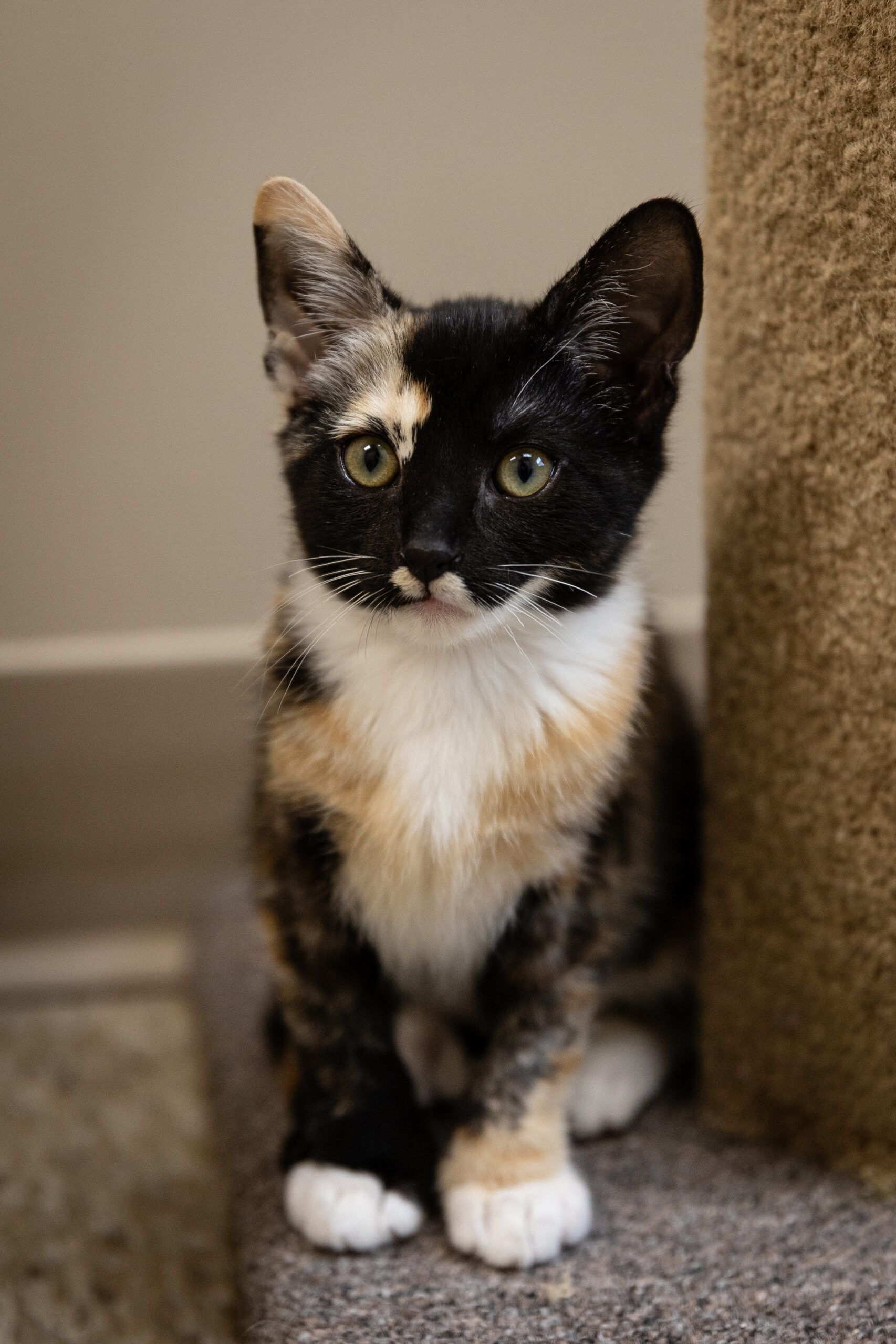 Lil' Mama - Bide Awhile